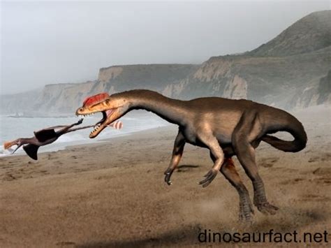 Halticosaurus Dinosaur