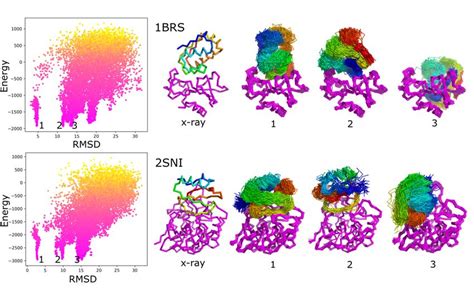 Protein Protein Docking With Large Scale Backbone Flexibility Using