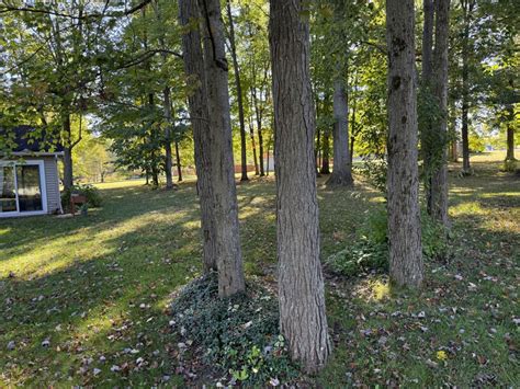 Brookfield Ohio Real Estate Absolute