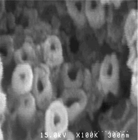 Error Code 0000000002 The Declaration Calculation