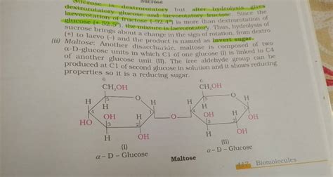 Sucrose Is Dextrorotatory But After Hydrolysis Gives Dextrorotatory Gluex