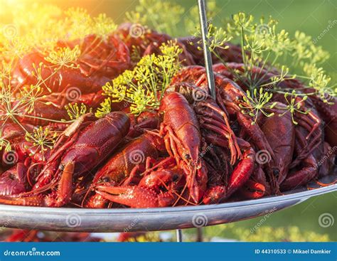 Boiled Or Steamed Crawfish Stock Image Image Of Boiled 44310533