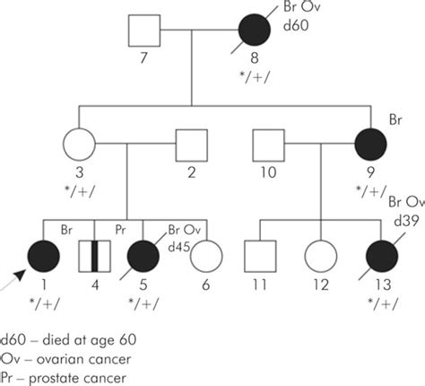 Phenocopy Breast Cancer Unrelated To Constitutional Mutation In