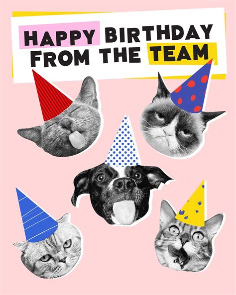 Group Cards Funny Cats Happy Birthday Team Group Card