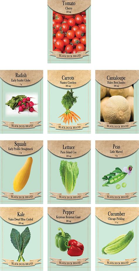 Set Of 10 Assorted Vegetable And Herb Seed Packets Create