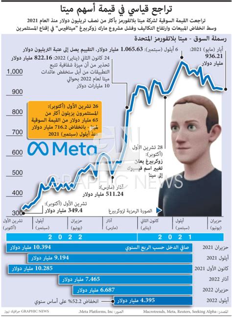 For Translation Business Meta Market Cap Crashes Infographic