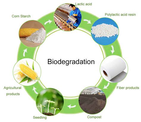 Is Pla Biodegradable Or Not？ Unilong Group