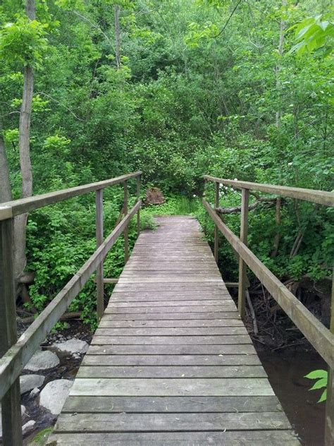 Darlington Provincial Park Beach Garth Loughmiller