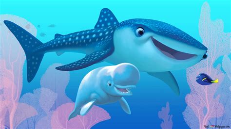 Finding Dory Destiny And Bailey Meets Dory 4k Wallpaper Download