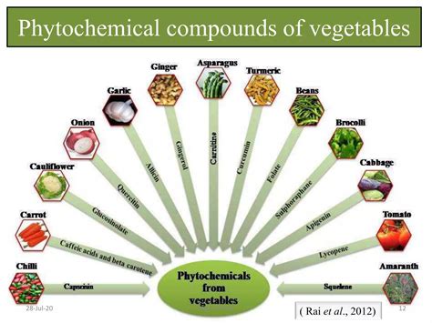 Vegetables As A Potential Source Of Nutraceutical And Phytochemical