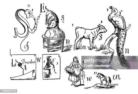 Pattern Riddle Photos And Premium High Res Pictures Getty Images