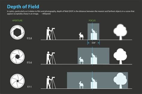 Beginner Depth Of Field Diagram Depth Of Field Depth Of Field