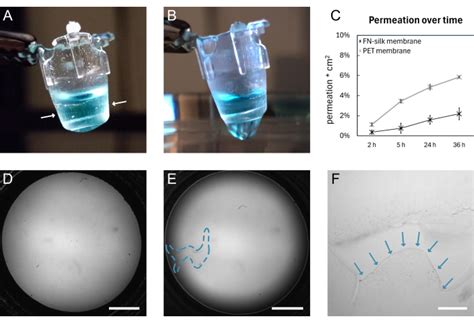 Video Author Spotlight Enhancing In Vitro Cell Culture Models With