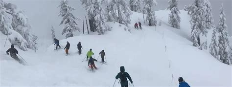 Alyssa Bloo In Home Personal Trainer Svetness Personal Training