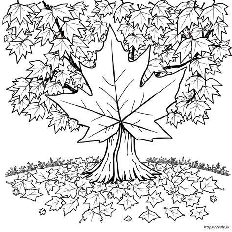 Large Maple Leaf Coloring Page