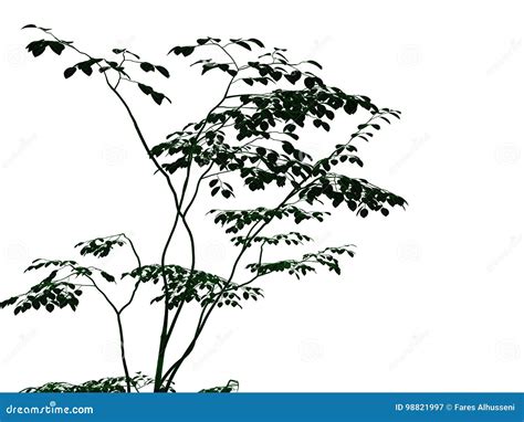 D Rendering Of An Outlined Black Tree With Green Edges Isolated Stock Illustration