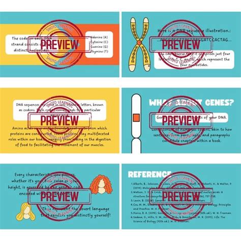 Dna Structure And Replication Mastery Worksheet Fill In The Blank