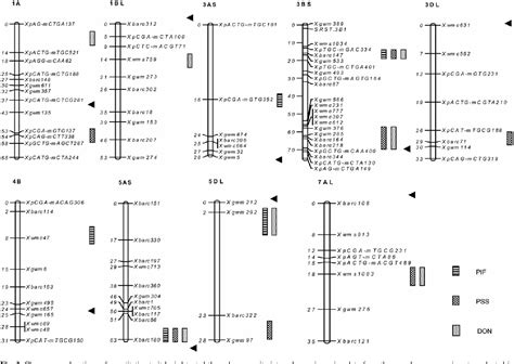Figure 1 From Quantitative Trait Loci For Fusarium Head Blight Resistance In A Recombinant