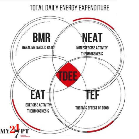 Devan Dippenaar On Linkedin Dgfuadb