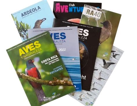 Descubre La Nueva Guía De Aves De España Seo Birdlife