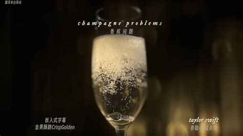 Taylor Swift 嵌入式中文字幕 《champagne Problems》（香槟问题） Zard来年の夏も 音乐 哔哩哔哩视频