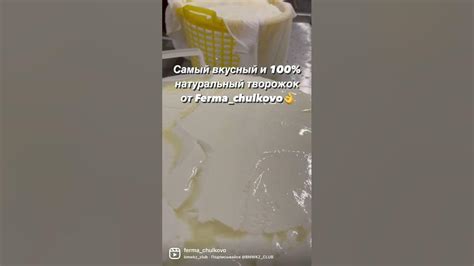 Пластовой творог. Ещё стекает . - YouTube