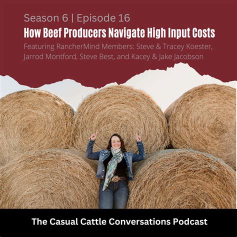 How Beef Producers Navigate High Input Costs Drovers