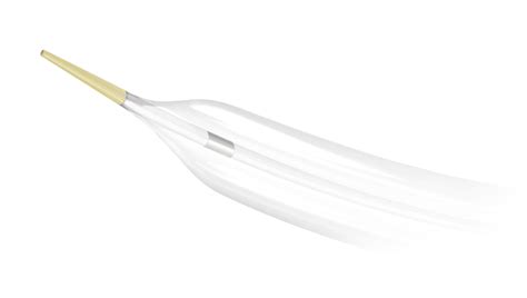 Brontes™霸王龙™ 外周血管内高压球囊扩张导管 广东博迈医疗科技股份有限公司广东省血管介入治疗技术与器械工程技术研究中心