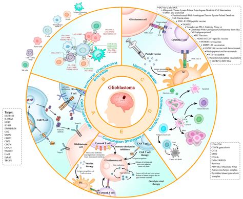 The Development Of Immunotherapy For The Treatment Of Recurrent