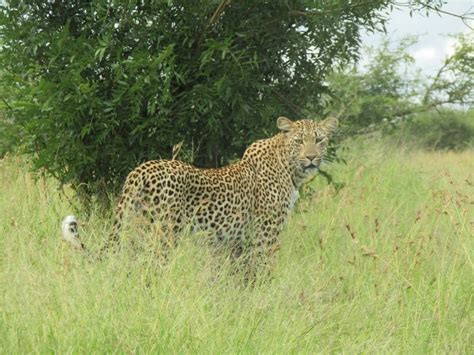 Adele Van Dyk Posted On Linkedin