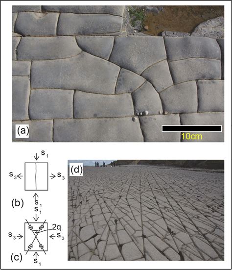 A A Simple Fracture Network Exposed On A Bedding Plane In A Liassic Download Scientific