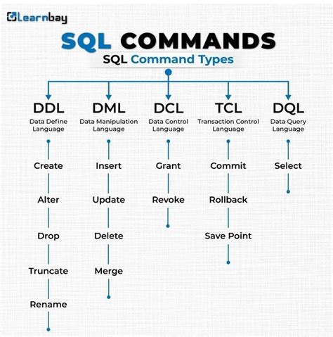 Sql Database Datamanagement Learning Tech Dataanalytics