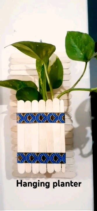 Hangingplants Plants Shorts Trendingshorts Viralshorts 1millionviews Sayradiy Youtube