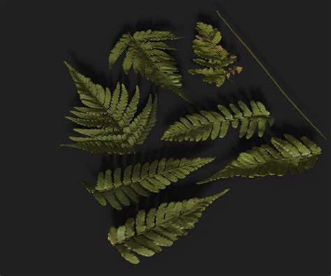 Artstation Autumn Fern Game Assets