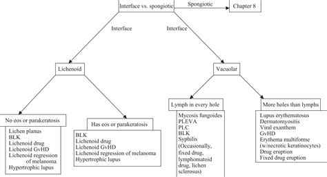 Interface Dermatitis Clinical Tree