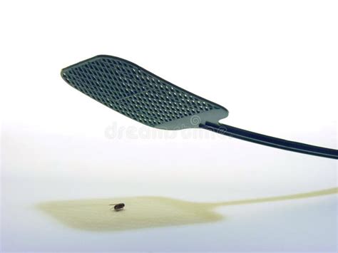 Pest Cockroach Fly Swatter Stock Image Image Of White 18729643