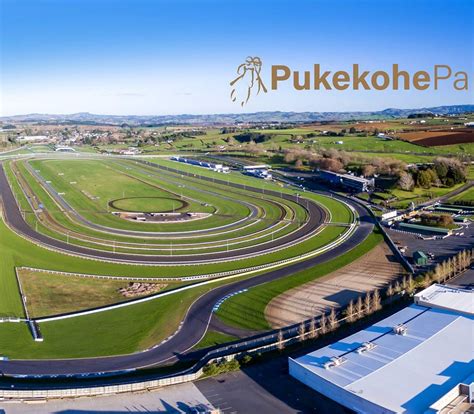Pukekohe Park O Que Saber Antes De Ir Atualizado 2024