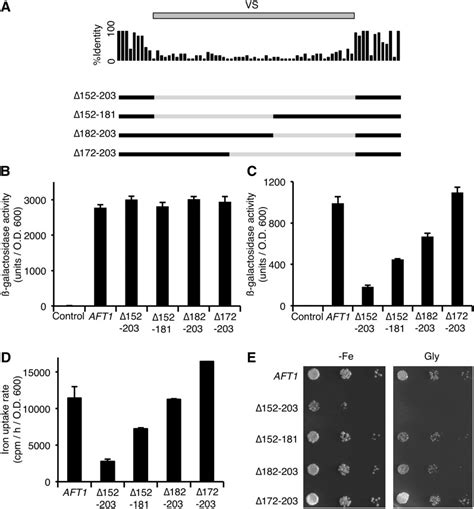 The Basis For Evolution Of Dna Binding Specificity Of The Aft1