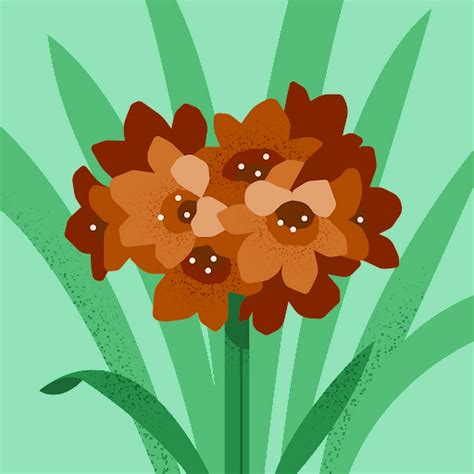 Leonor Rivera Youtube