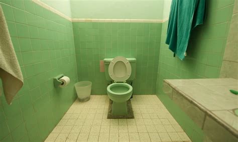 throwing up green color - Dallascollege Innovation