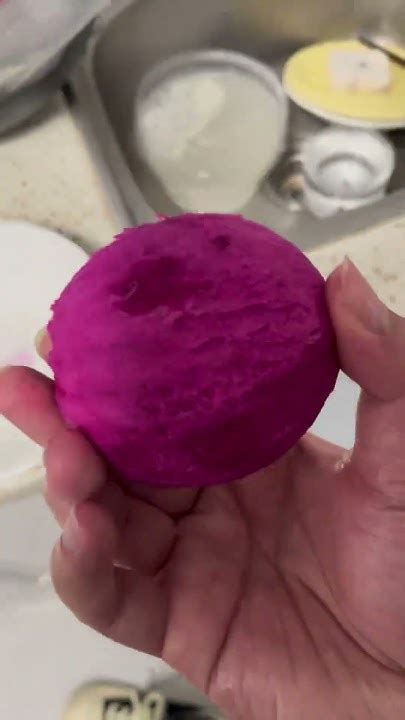 【正紧市民】养狗这么多年没想到火龙果还能这么用 哈士奇 二哈 Youtube