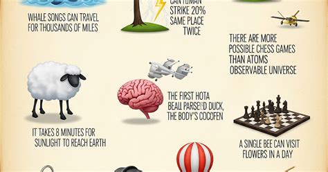 100 Random And Interesting Facts You Need To Know In 2026