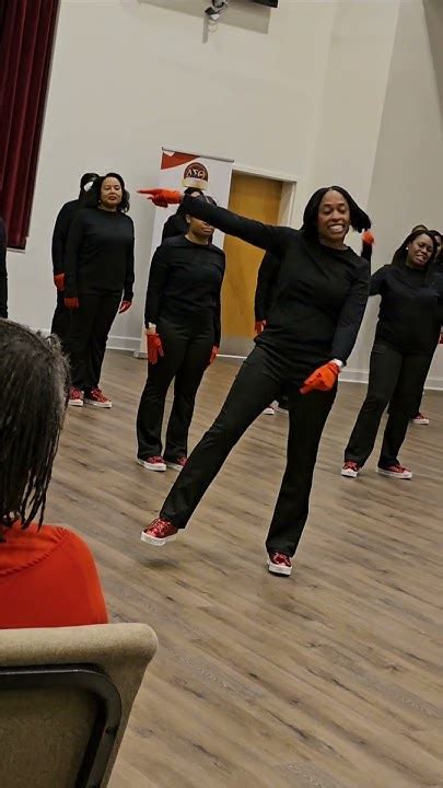 Atlantic City Alumnae Chapter Delta Sigma Theta Sorority Inc Nip