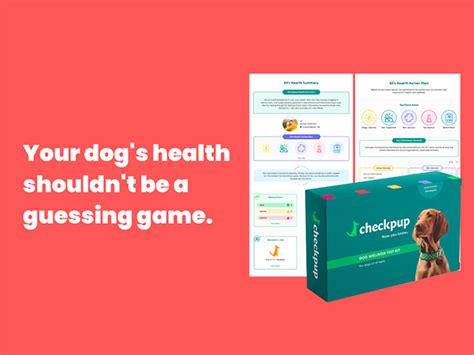 Dog Wellness Test Kit Beliefnet