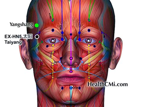 Acupuncture Headache At Barbara Bowles Blog