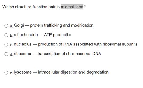 Solved Which Structure Function Pair Is Mismatched O A