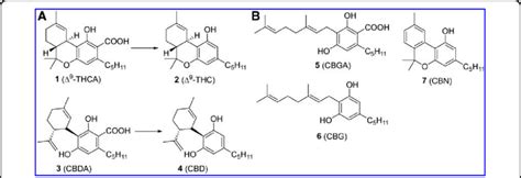 A Chemical Structures Of Four Major Phytocannabinoids D 9 Thca 1