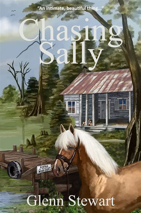 Chasing Sally By Glenn Stewart Goodreads