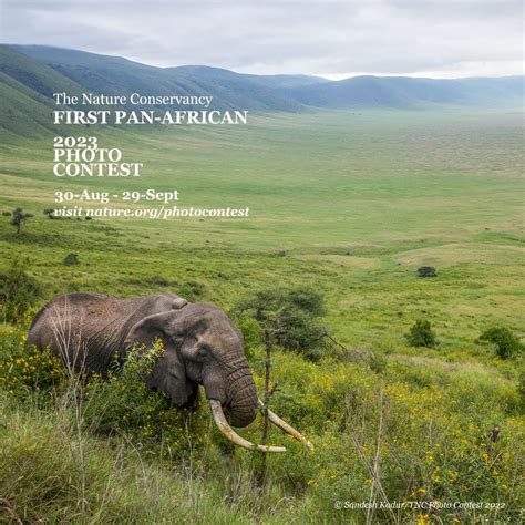 I Am Thrilled To Share That The Nature Conservancys 2023 Global Photo