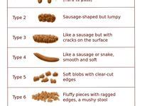 38 Best Stool Chart Ideas Nursing School Notes Nursing School